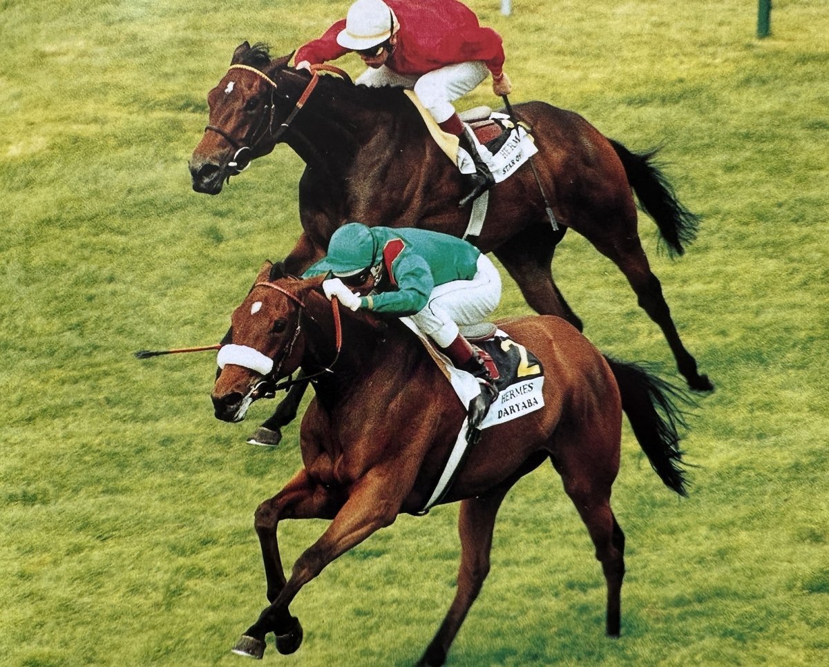 La vraie histoire de Daryz, fruit de croisements atypiques sur une ...