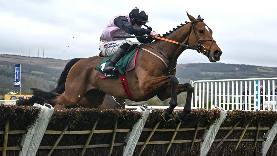 Punchestown Festival 2026 : les "french bred" en piste lors du ...