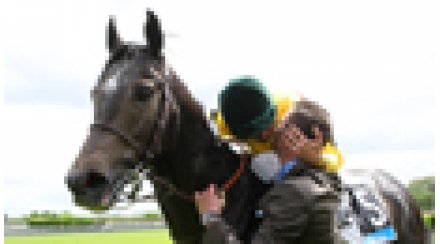 Premier gagnant classique pour le Haras de Colleville - France sire