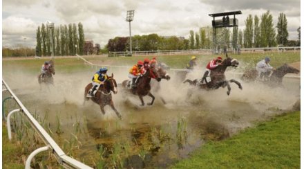 Trophée National du Cross : des classements ultra serrés à deux étapes ...