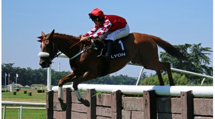 Le Grand Cross de Lyon et la 6ème étape du TNC pour Iloa Conti : chez Patrick Joubert, on aime ...