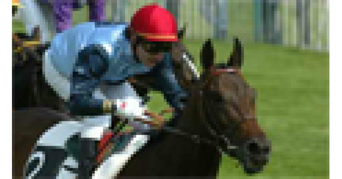 Souvenez-vous de Boris - France sire