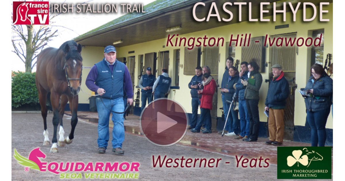Castlehyde Stud (Kingston Hill, Ivawood, Westerner, Yeats) : Irish ...