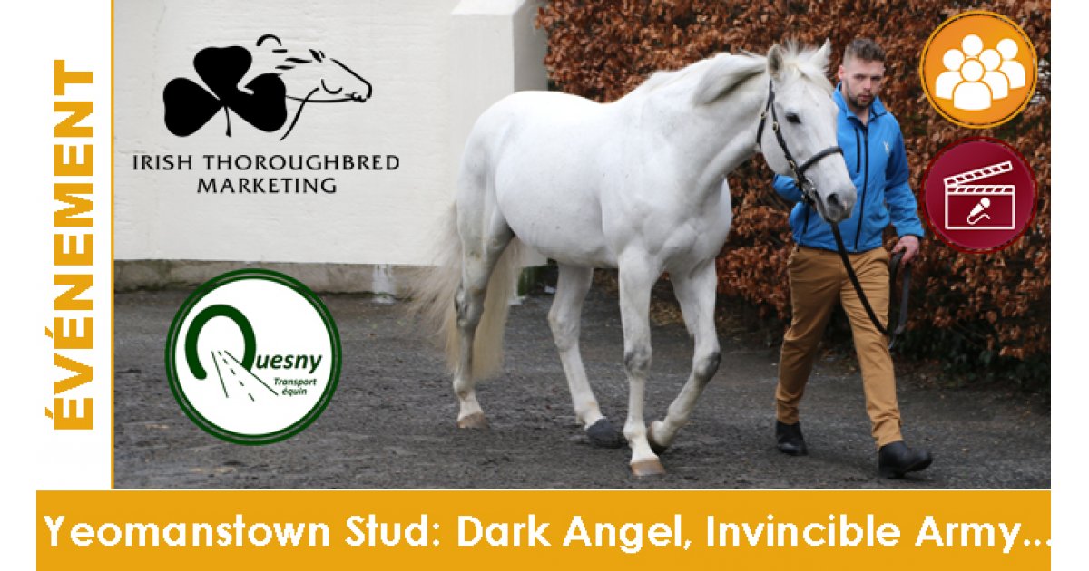 Irish Stallion Trail 2020: Yeomanstown Stud avec Dark Angel, Invincible ...