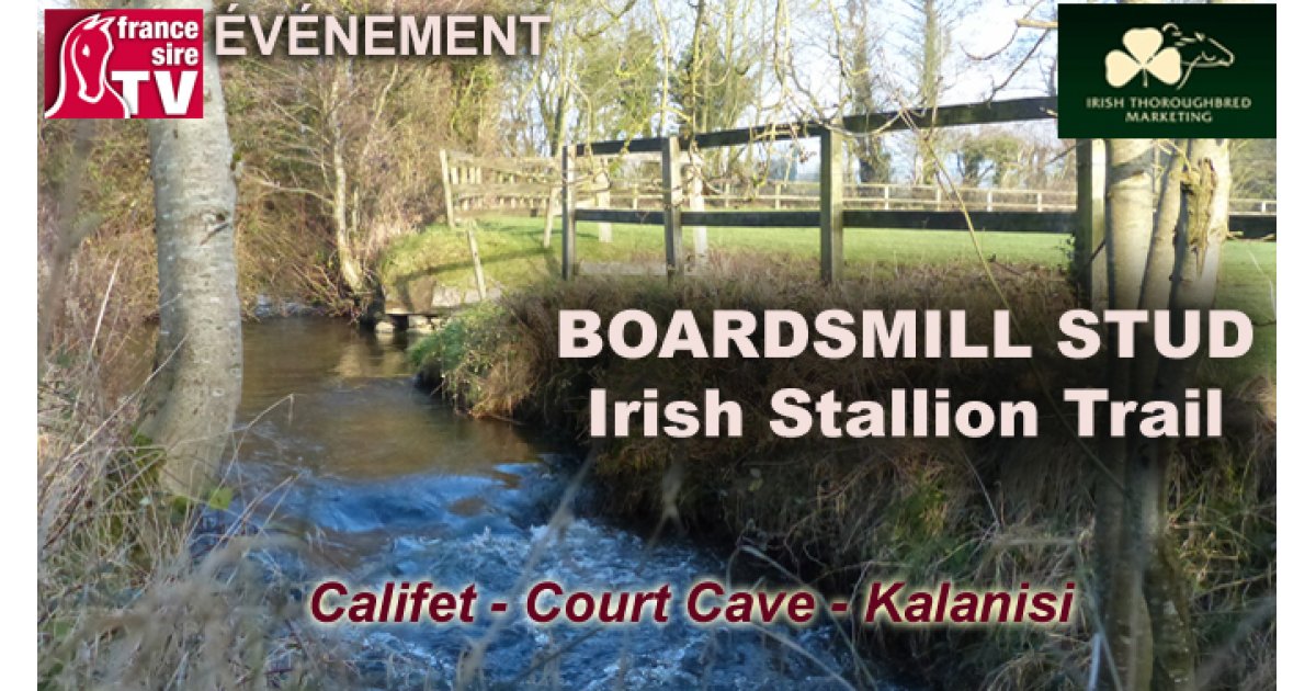 Boardsmill Stud (Califet, Kalanisi & Court Cave) : Irish Stallion Trail ...