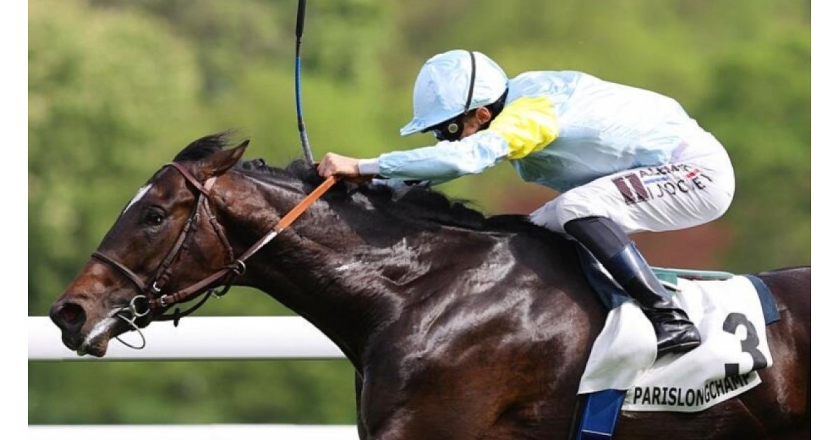 Mathieu Le Forestier : " les statistiques de Sumbe sont étourdissantes ...