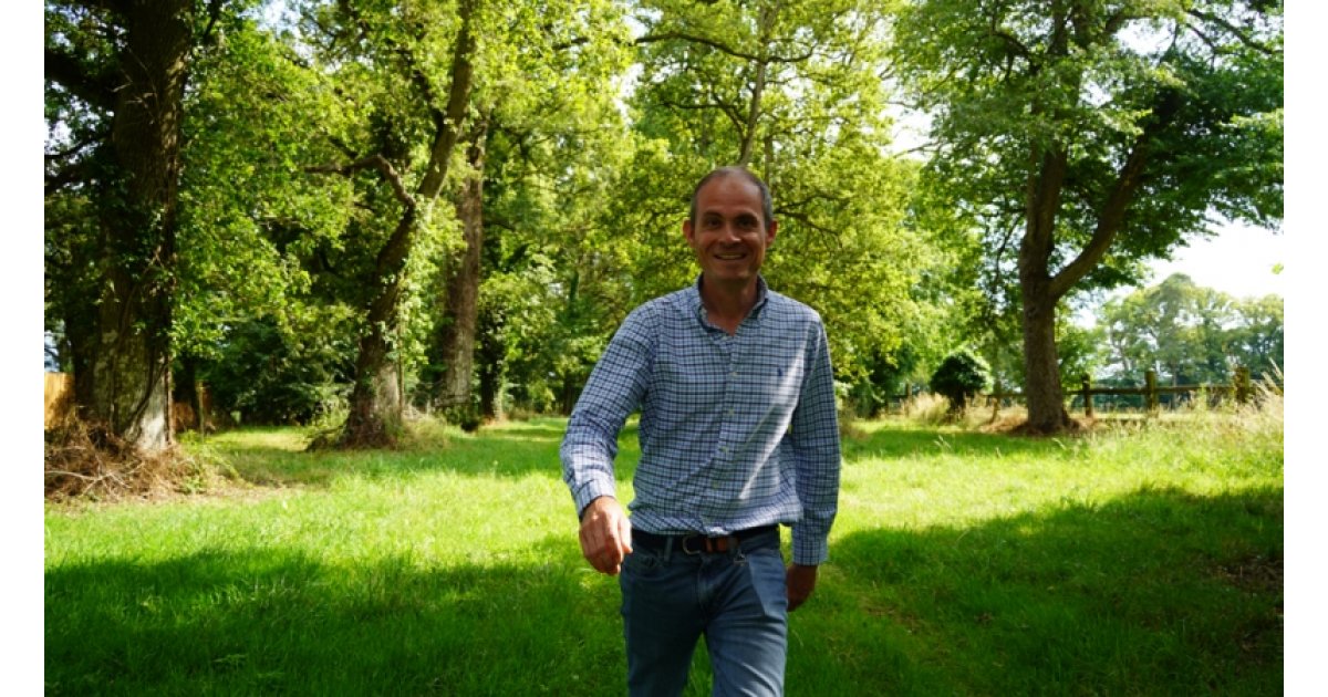 Foals : le cru 2023 de Sylvain Martin à Poulinieres.com - France sire