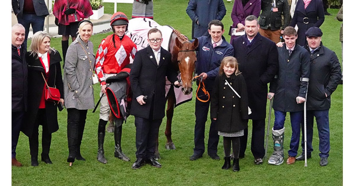 Cheltenham 2023 : aprs Delta Work, son frre Jazzy Matty fait de nouveau ...