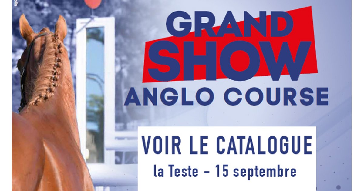 ne surtout pas manquer ce jeudi 15 septembre, La Teste-de-Buch, le ...