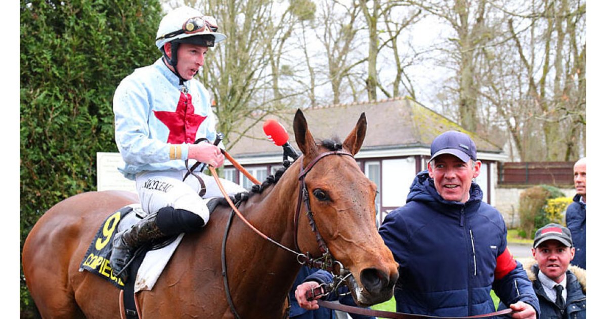 Achetée 1.000 euros il y a 3 mois, Peaceful Sea débute victorieusement ...