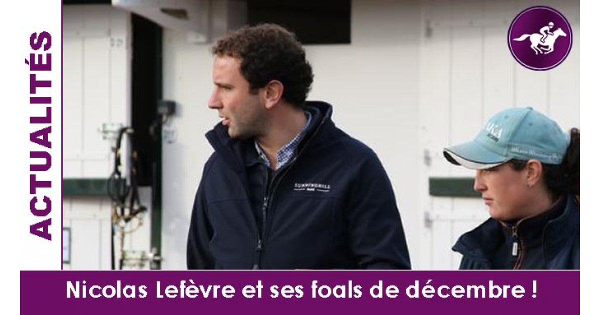 Nicolas Lefèvre, il "foal" que jeunesse se passe - France sire