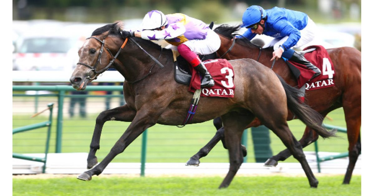 Double gagnant de Gr.1 à 2 ans, Angel Bleu débute étalon à Sumbe en ...