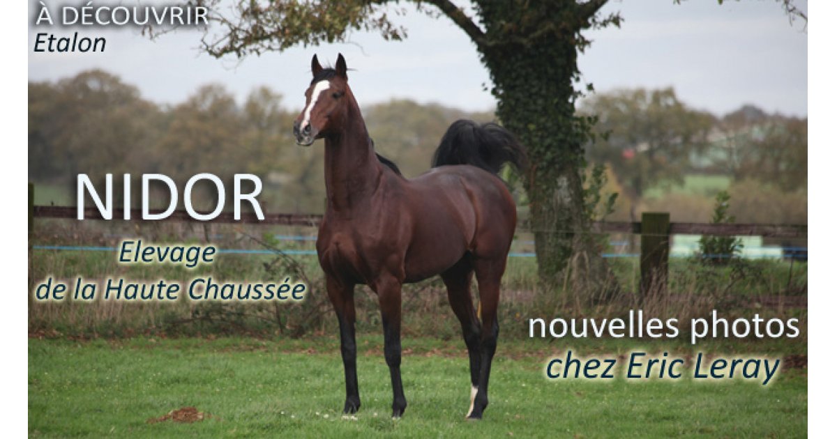 Nidor : Les nouvelles photos - France sire