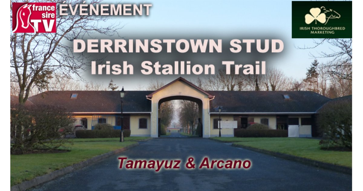 Derrinstown Stud (Tamayuz et Arcano) : Irish Stallion Trail 2015 ...