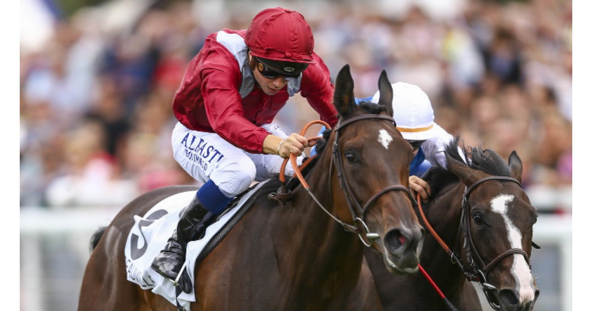 Tamniah, un 1er groupe en France pour l'Ecurie La Frênée ! - France sire