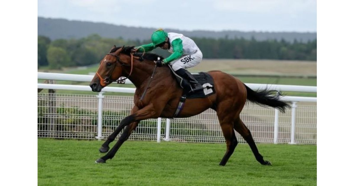 Haatem offre un 1er Groupe à Phoenix Of Spain dans les Vintage Stakes ...
