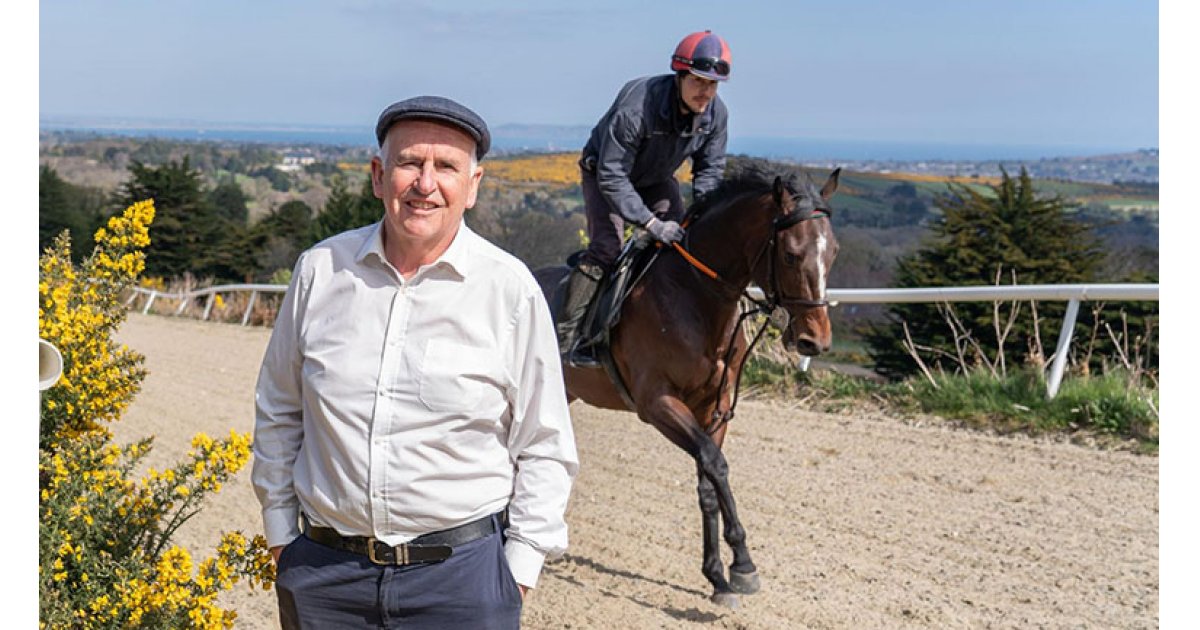 Avec 12 chevaux positifs, l'entraîneur irlandais Luke Comer suspendu 3 ...