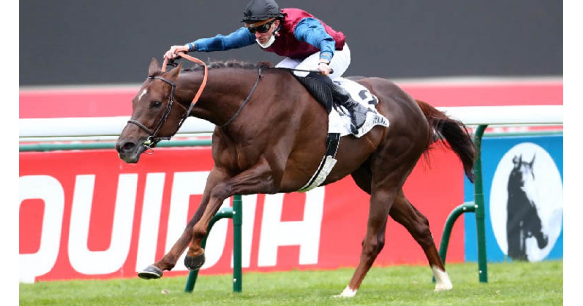 L'avènement d'un grand dans le Ganay avec Mare Australis - France sire