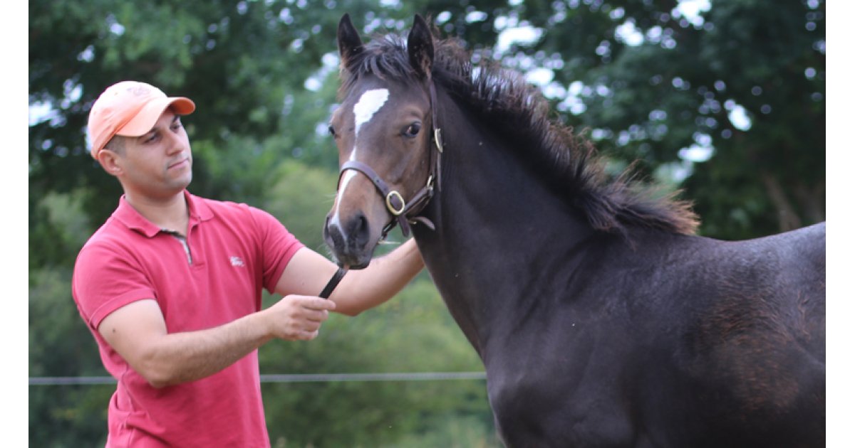 Plan de monte 2023 : Kévin Messaoudi des confirmés du plat aux débuts ...