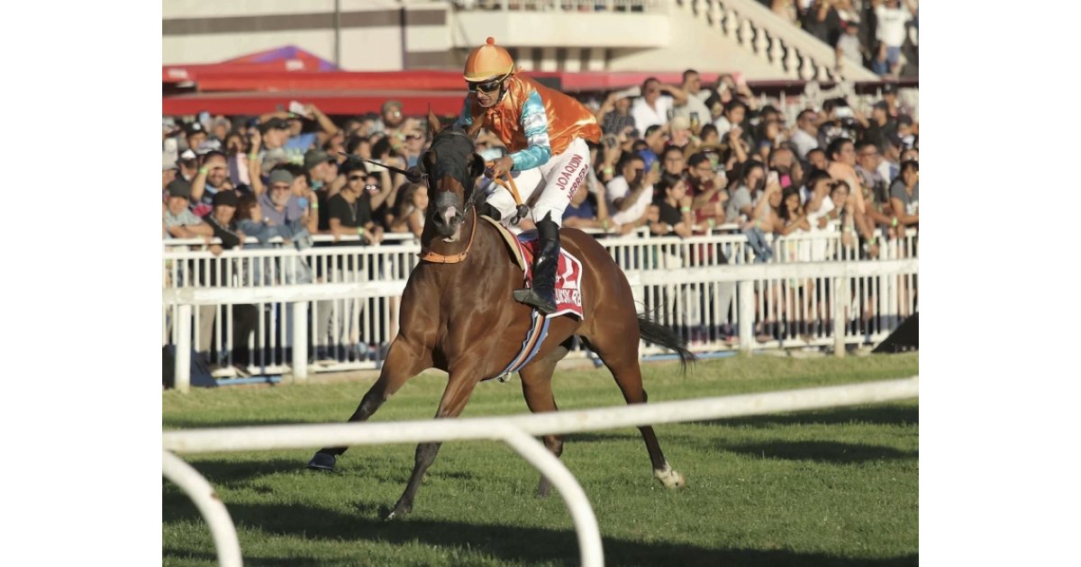 El Derby au Chili pour la femelle Lucky Red : le triomphe de Carlos ...