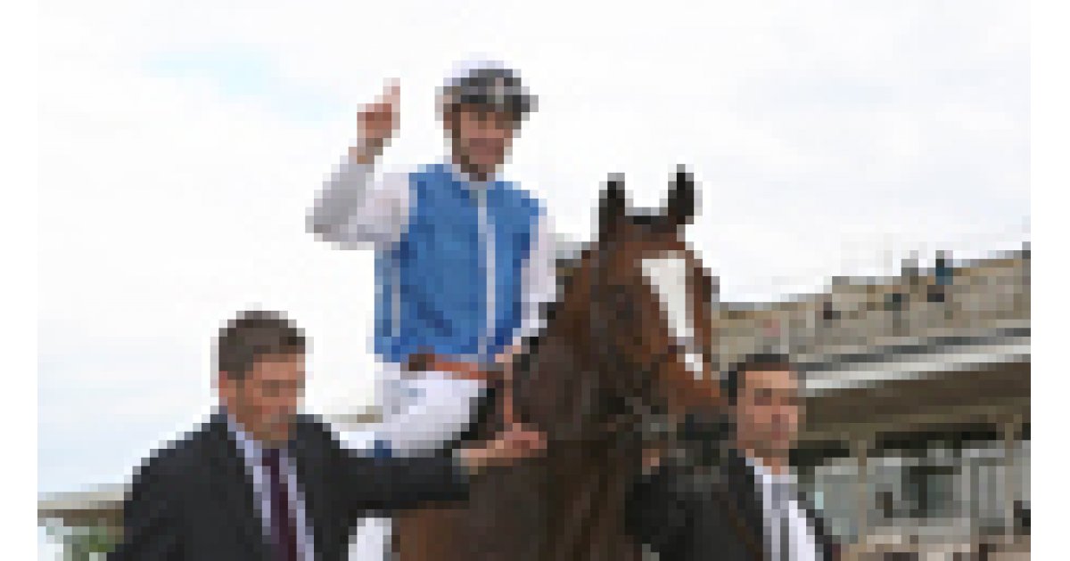 Un Intello impressionant - France sire