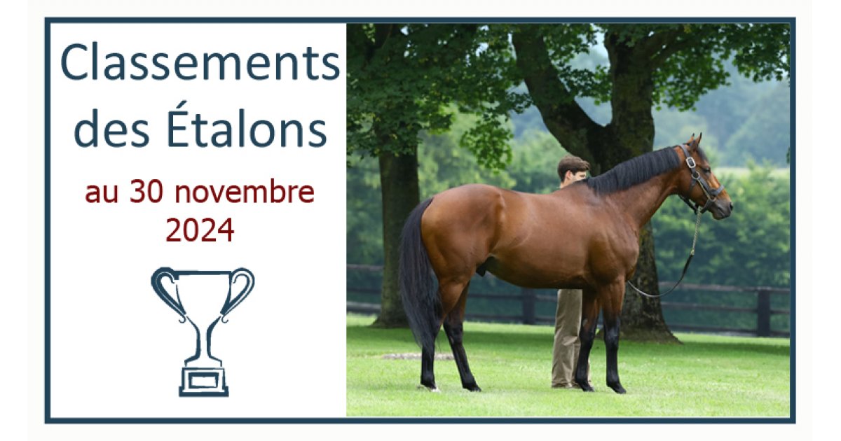 Classements des étalons au 30 novembre 2024 : le double jumelé de l'Aga ...