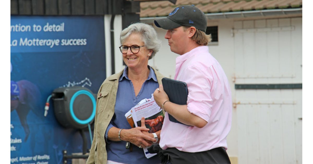 ARQANA : le Who's Who de la vente d'Août - France sire