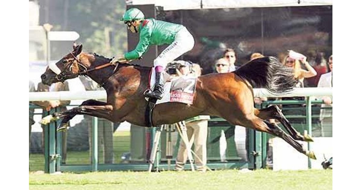 Zarkava : l'héritage détaillé du génie français - France sire