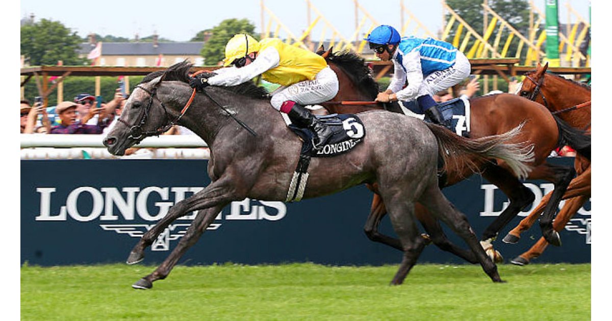 Rubis Vendôme, un Galiway pour l'obstacle à la Haie Neuve - France sire
