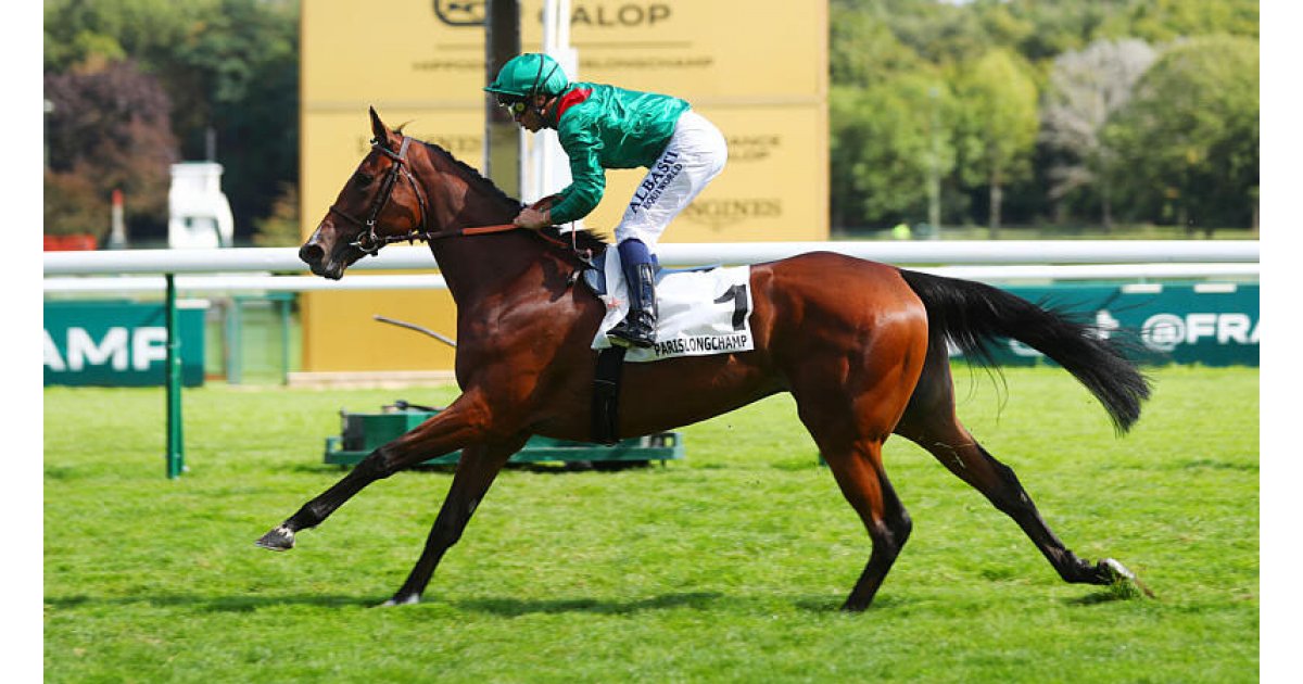 Les 5 chevaux français qui vont briller au plus haut niveau en 2025 ...