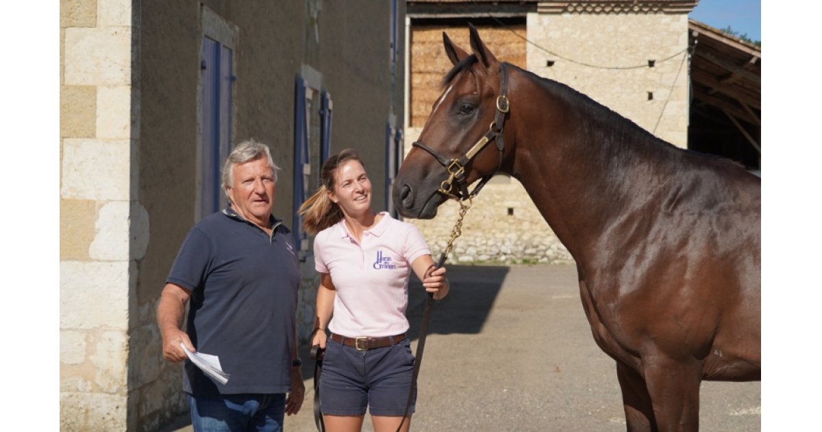 Hello Jeeby : le tout 1er gagnant de la belle Chloé, le soleil du Haras ...