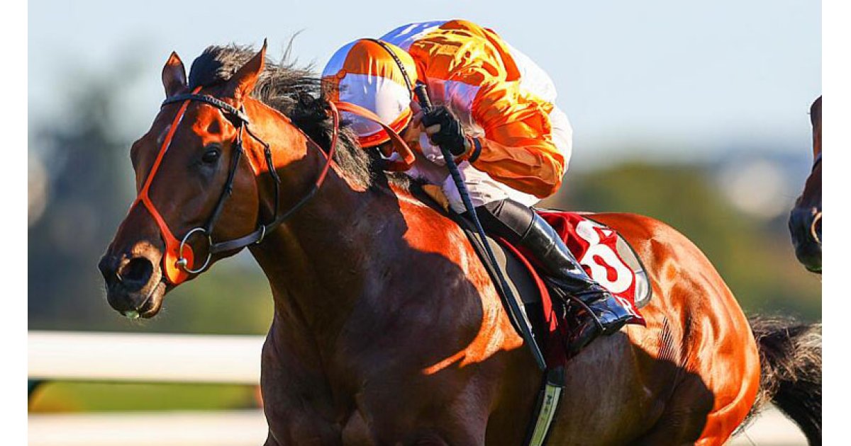 Le Qatar Prix Dollar pour Jayarebe, un "English boy" avec des airs de ...