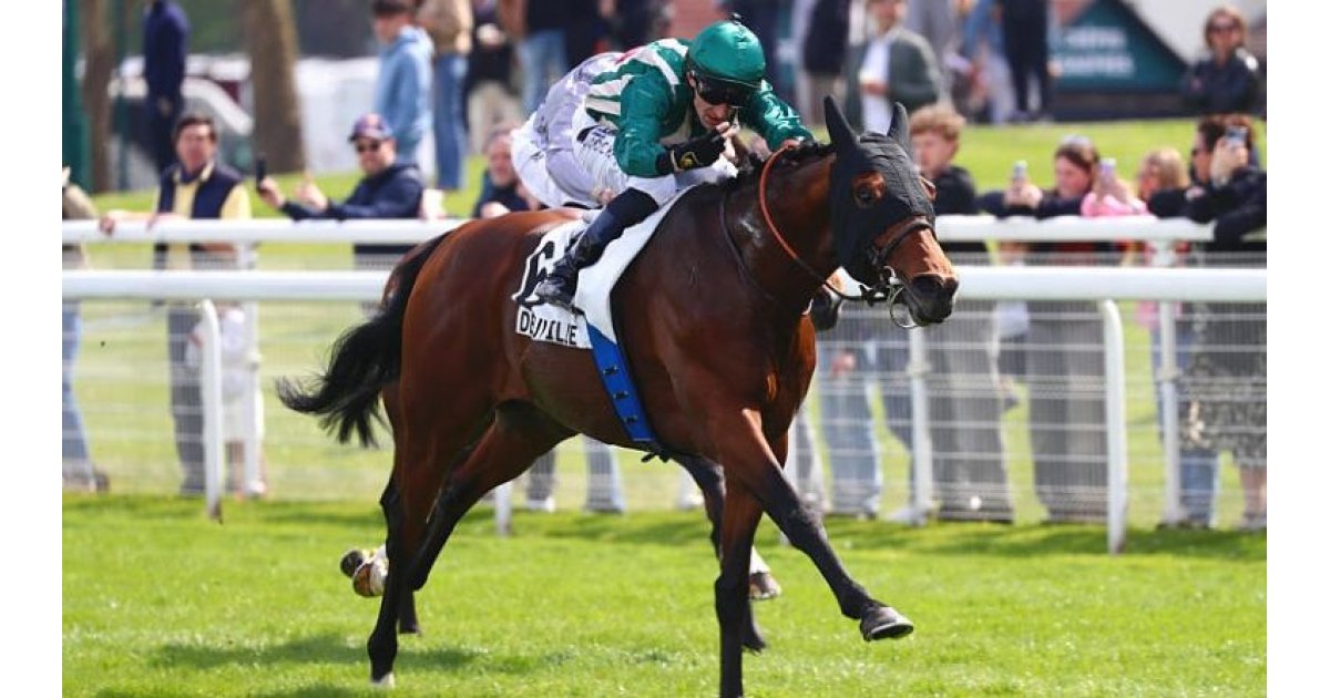 Maranoa Charlie, le nouveau rêve classique de Peter Maher - France sire