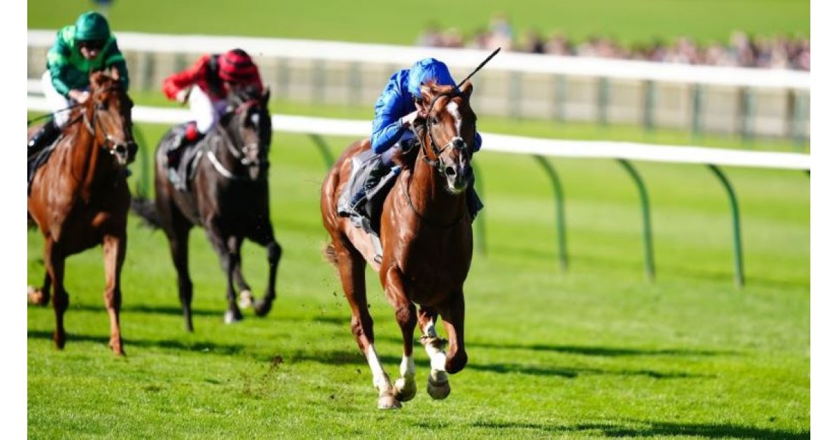 Cinq ans après son frère Earthlight, Shadow Of Light brille à son tour ...