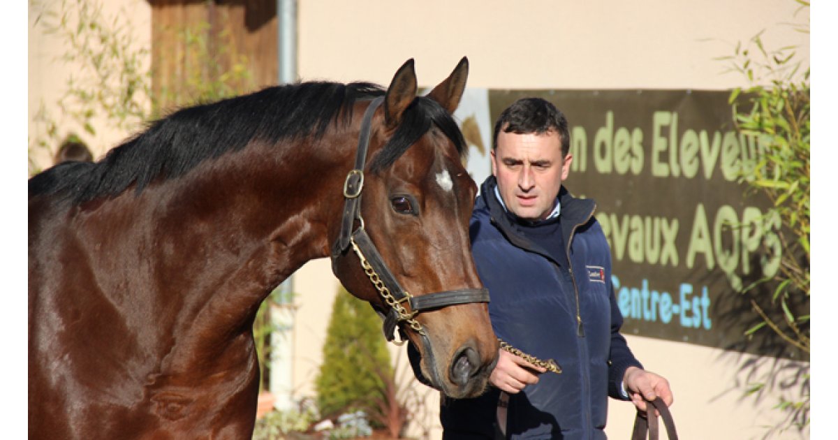Anjella ou le nez creux de Philippe Thiriet et Michel Larobe ! - France ...