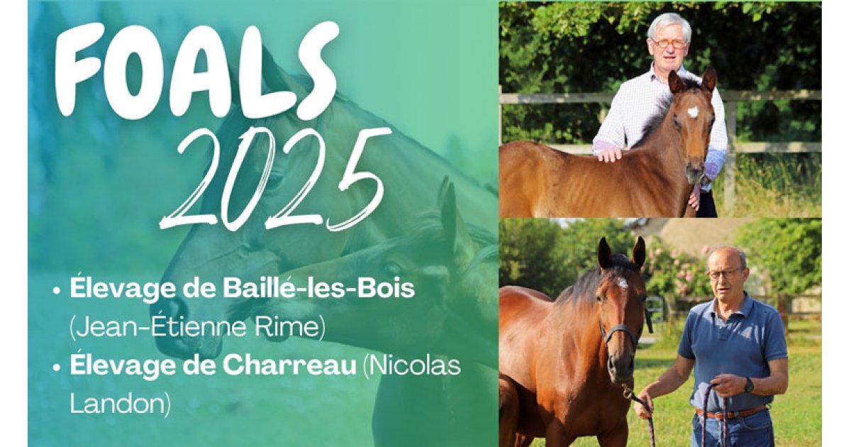 Tour des Foals 2025 #1 : Élevage de Baillé-les-Bois (Jean-Étienne Rime) et Élevage de Charreau ...