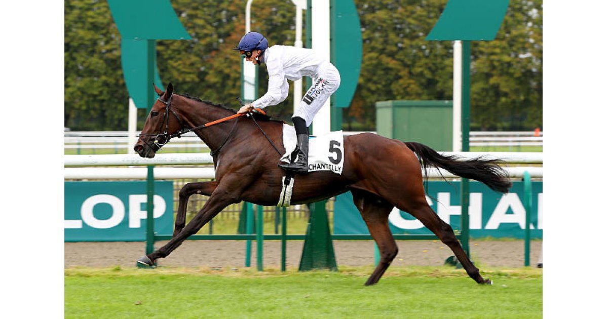 Shiffrin, la pouliche des premières pour Nicolas Le Roch - France sire