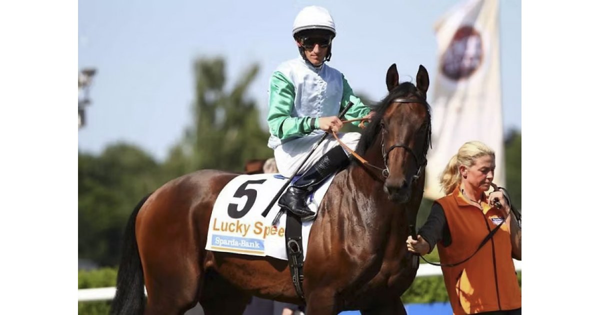 Lucky Speed : un gagnant de Derby allemand s'installe étalon chez Eric ...