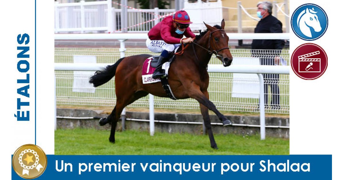 Shalaa sort son 1er vainqueur tant attendu - France sire