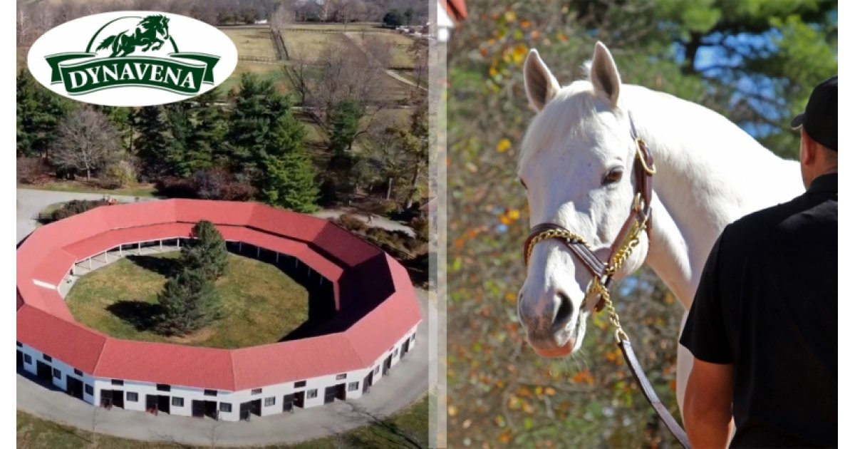 Gainesway Farm avec Tapit : le paradis américain du légendaire père de ...