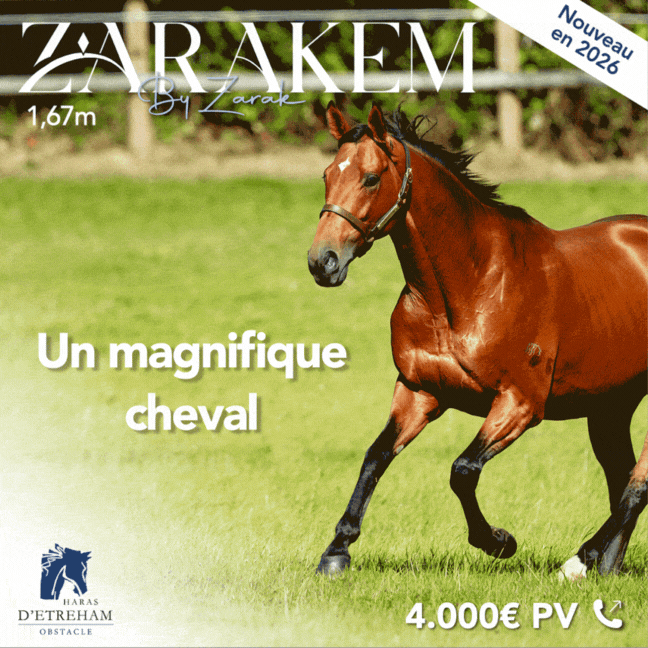 Fiche cheval - GALLIA DE FAUST - France sire