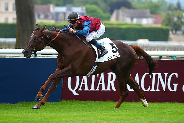 Fiche étalon MARE AUSTRALIS - France sire