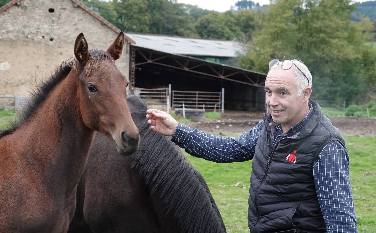 Fiche établissement ELEVAGE LEMOINE THIERRY - France sire