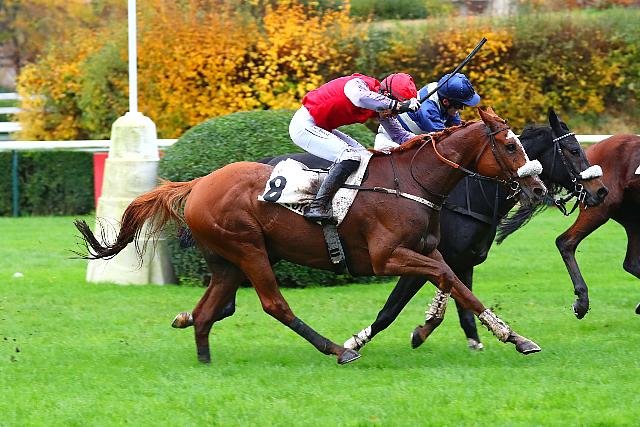 Une Galerie APRH qui décolle ! - France sire